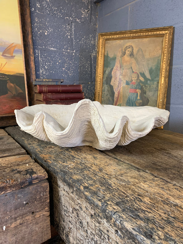 A white plaster Giant Clam Shell sculpture (Tridacna Gigas)- large - Belle and Beast Emporium