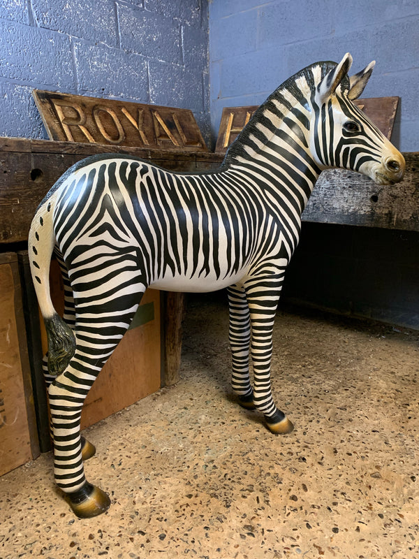 A life size model of a zebra foal - Belle and Beast Emporium