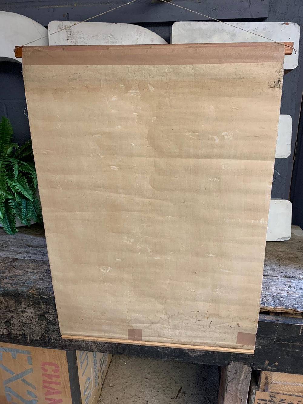 An Adam Rouilly anatomical bone fracture wall chart - Belle and Beast ...