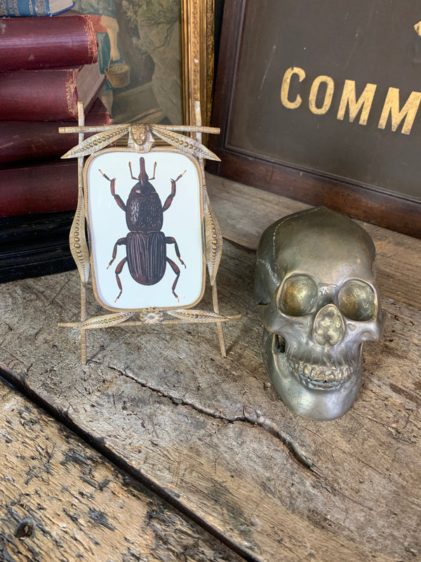 A gilt bronze Egyptian Revival Pharaoh head picture frame - Belle and ...