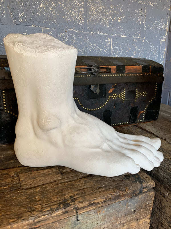 An anatomical Grand Tour plaster foot - Belle and Beast Emporium