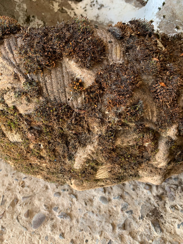A very large cast stone swan planter - Belle and Beast Emporium